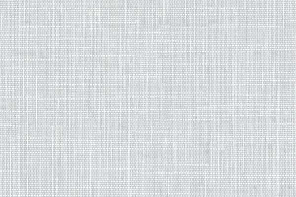 Ofs Elm Motion