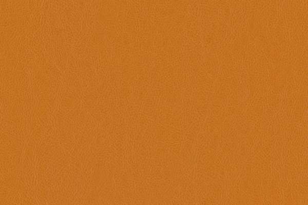 OFS - Lariat Papyrus