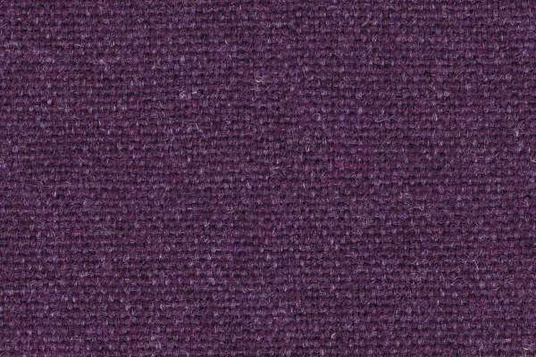 Carolina - Main Line Flax Upminster