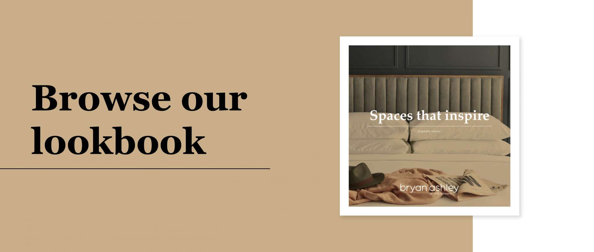 Bryan Ashley - Homepage