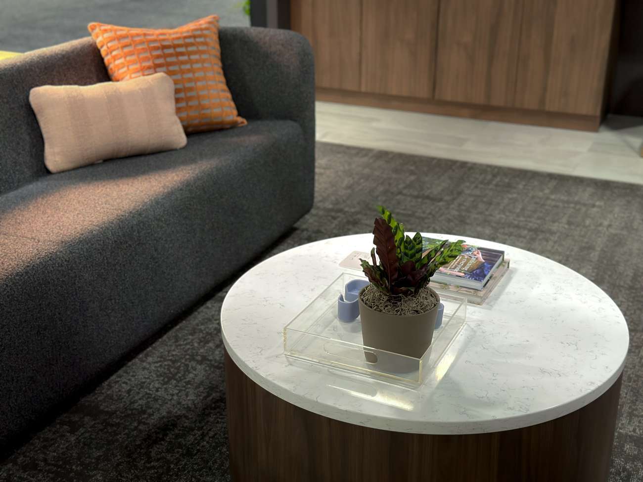 Environments for Aging 2023 - OFS