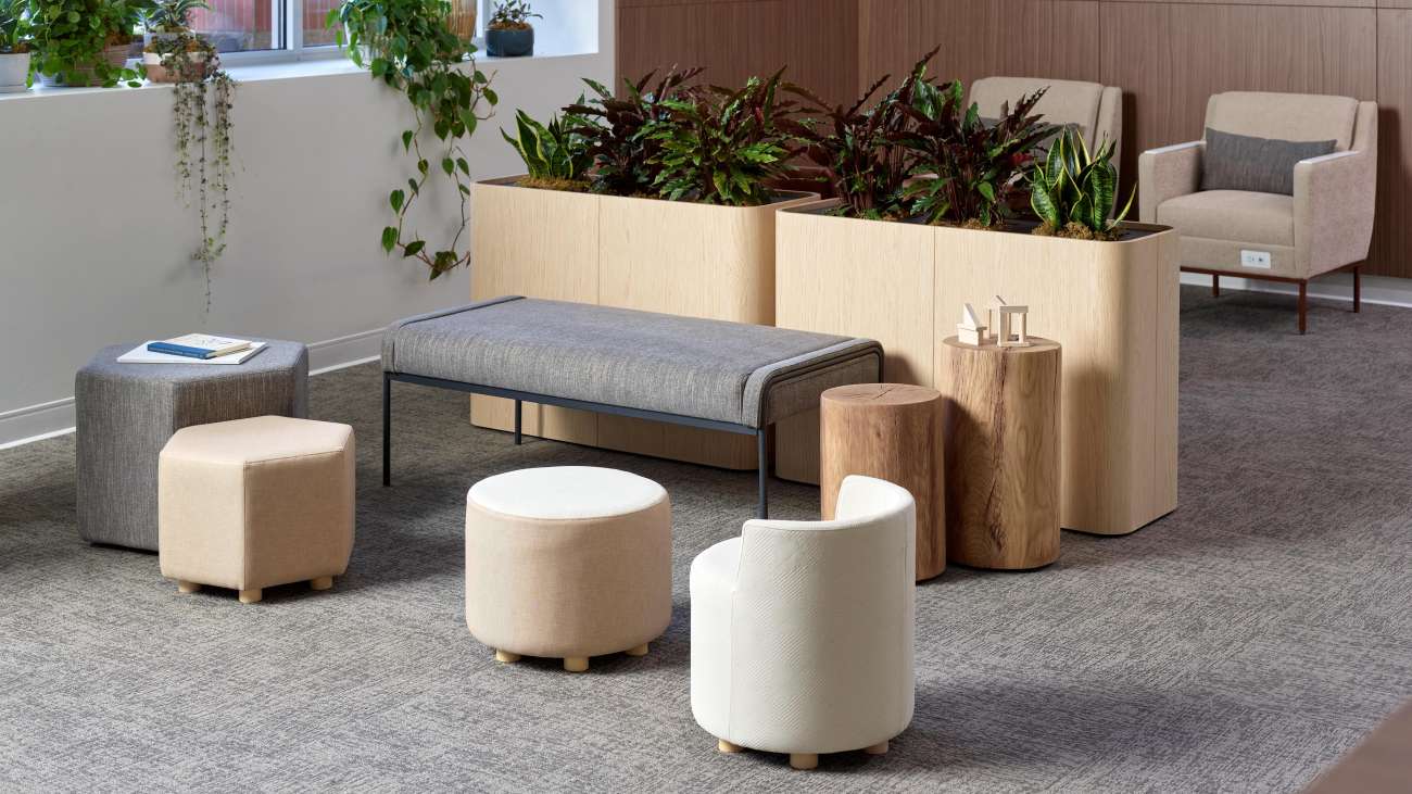 Carolina showroom - OFS