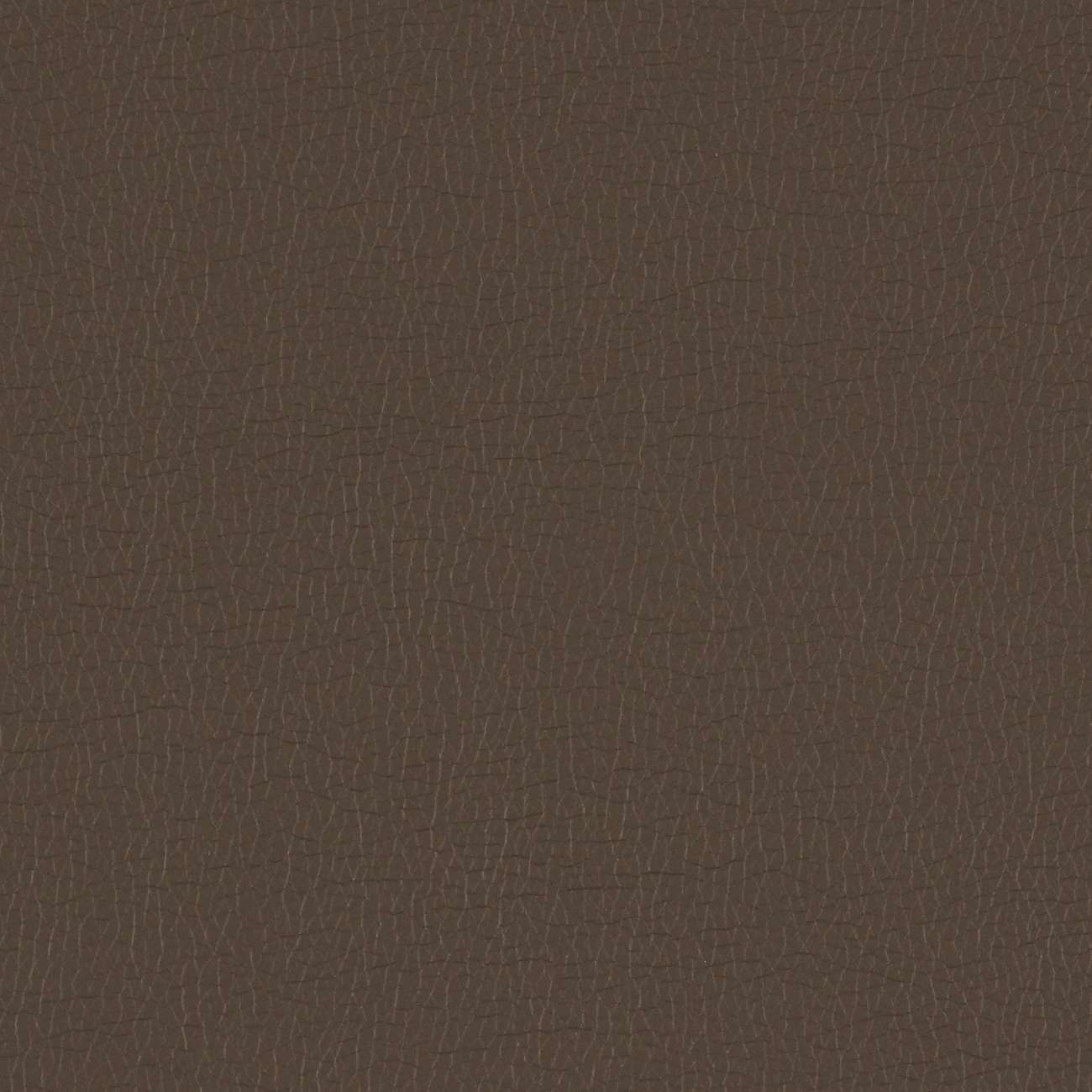 OFS - Canter EPU Basalt