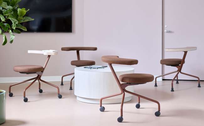 Carolina - Sorta - Guest/multi use - Product