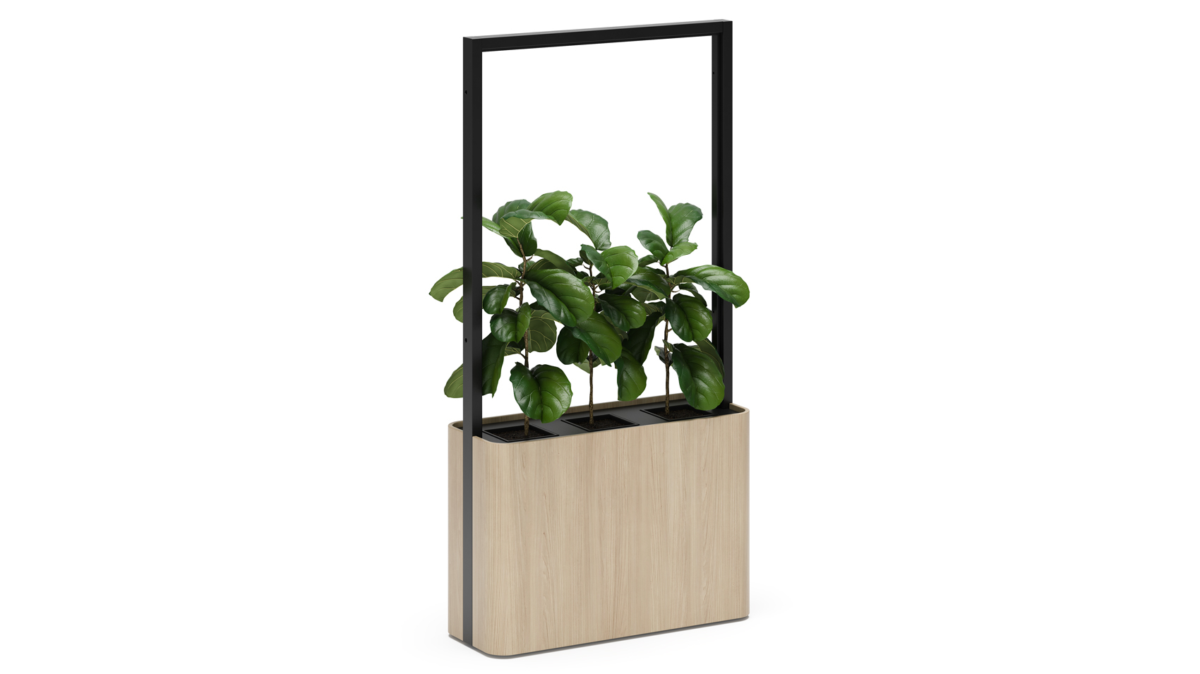 OFS - Hydra - Space division - Product